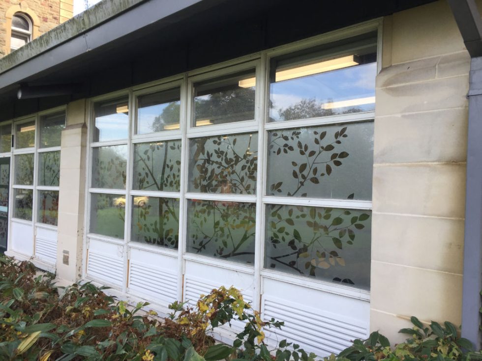 Glass Manifestation Signage & Displays in the UK | Create Signs